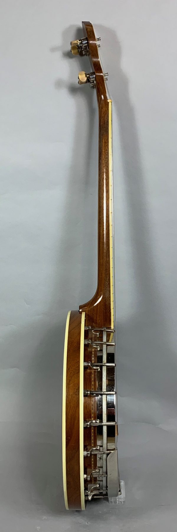 Harmony Tenor Banjo C 1930 Spruce Tree Music harmony-tenor-banjo-c-1930-spruce-tree-music